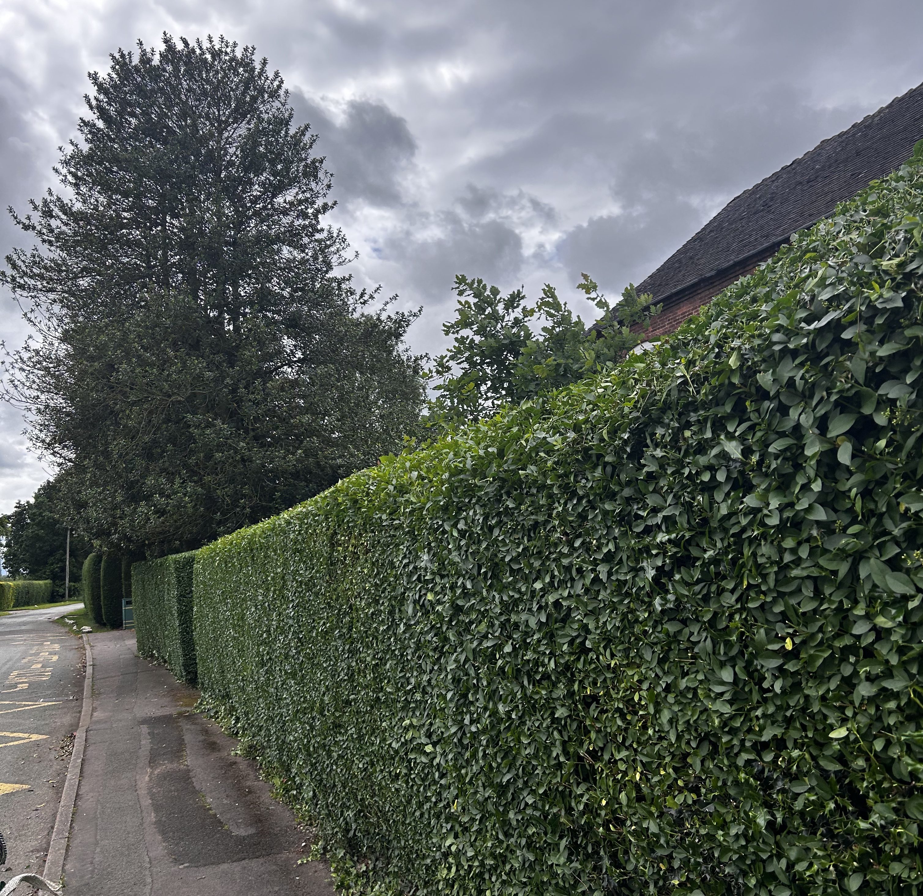 Schools Grounds Maintenance – Green Space Grounds Maintenance
