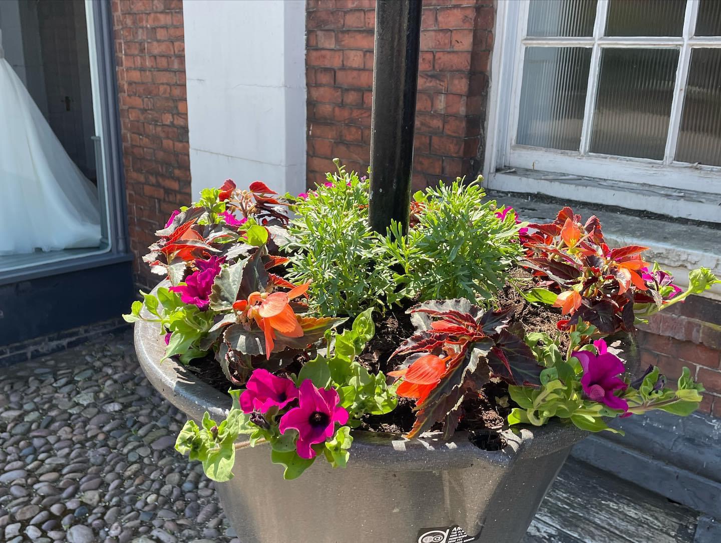 Open Space Management – Maintenance – Green Space Grounds Maintenance